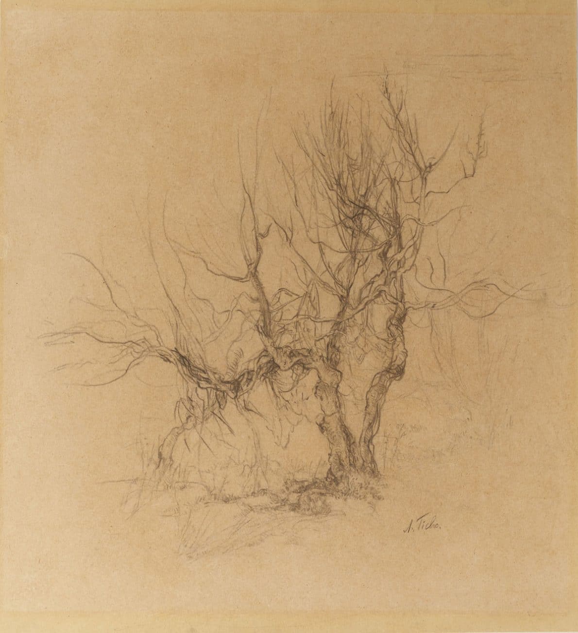 Anna Ticho: Impressions - The Negev Museum of Art